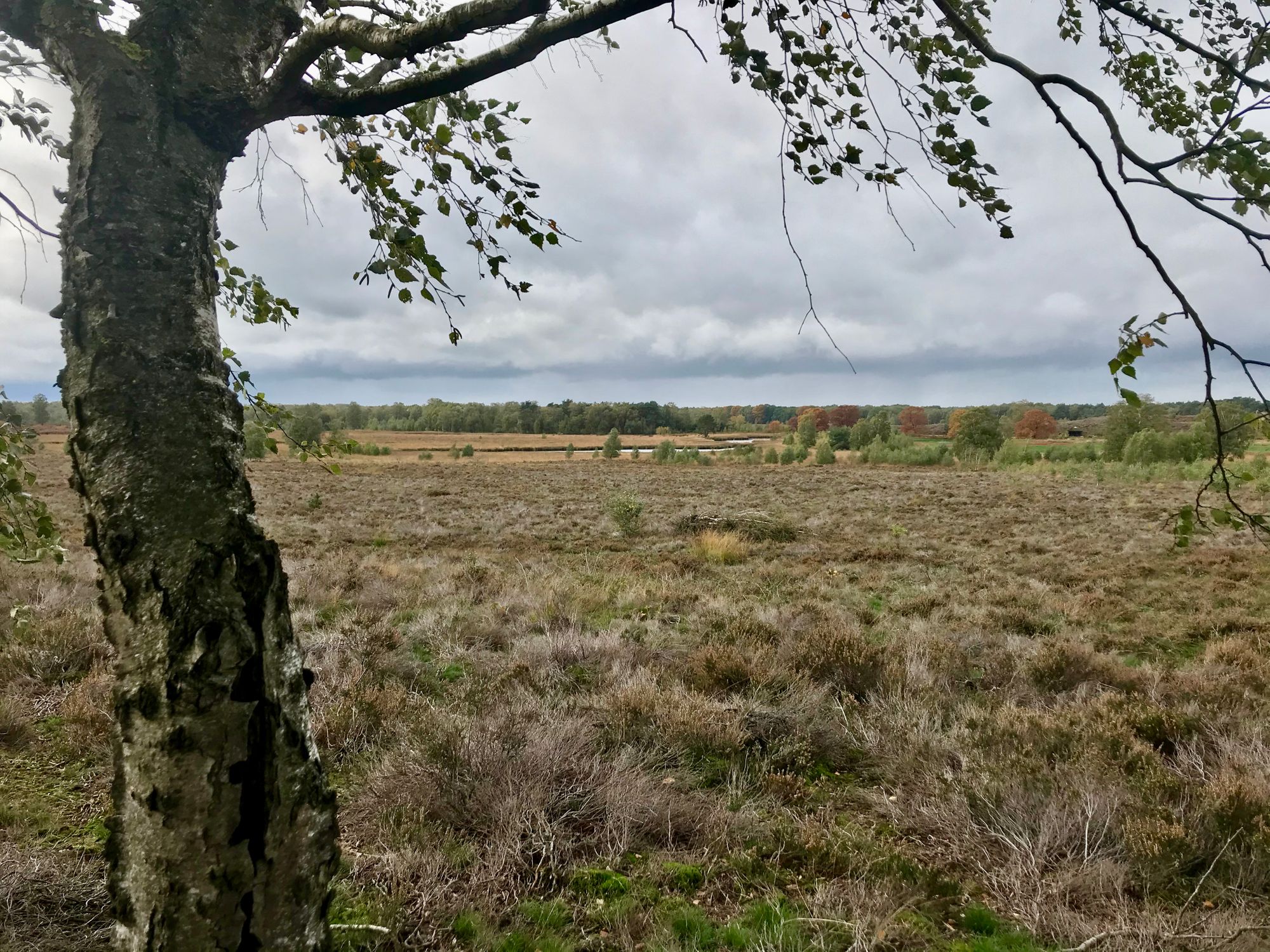 Maasduinen-Rundgang De Hamert